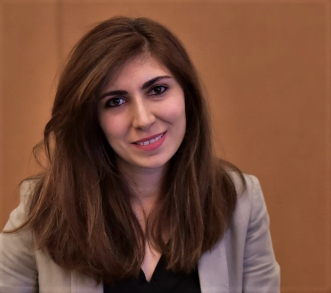 Making the numbers talk: the Arab Development Portal – The SDG Communicator