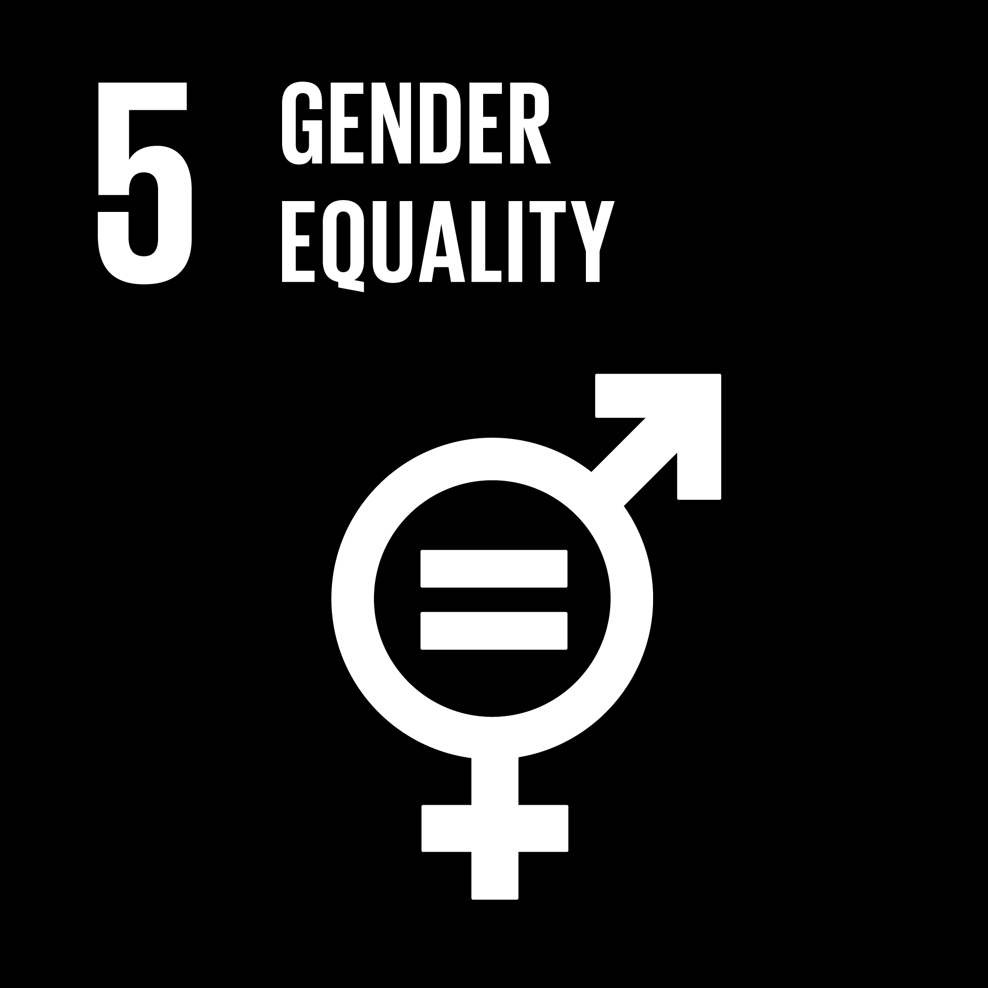 project everyone in black – The SDG Communicator