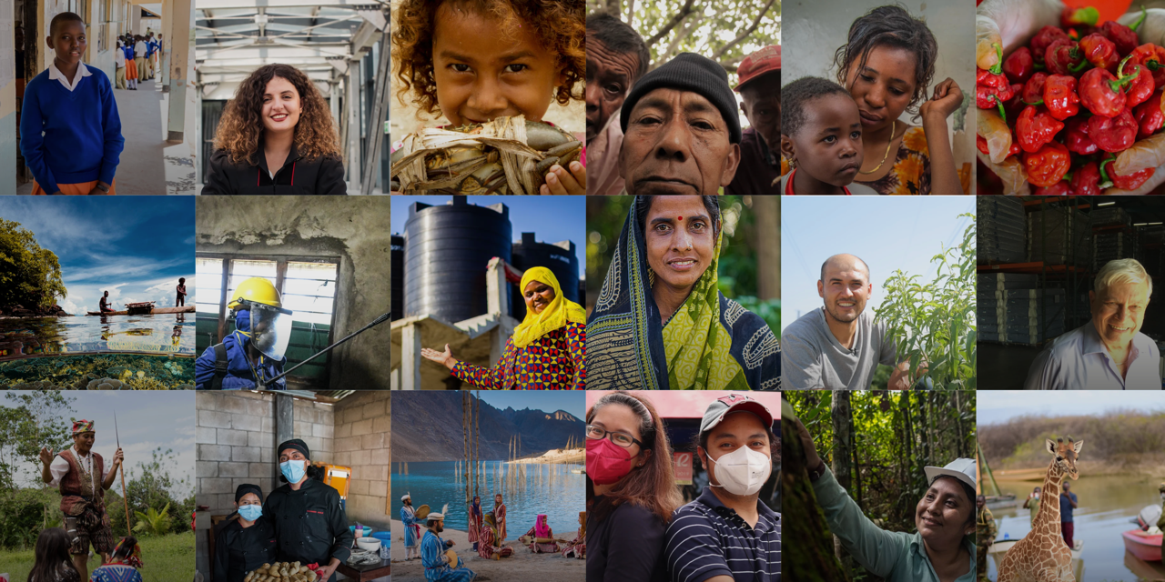 Portals & pages – The SDG Communicator