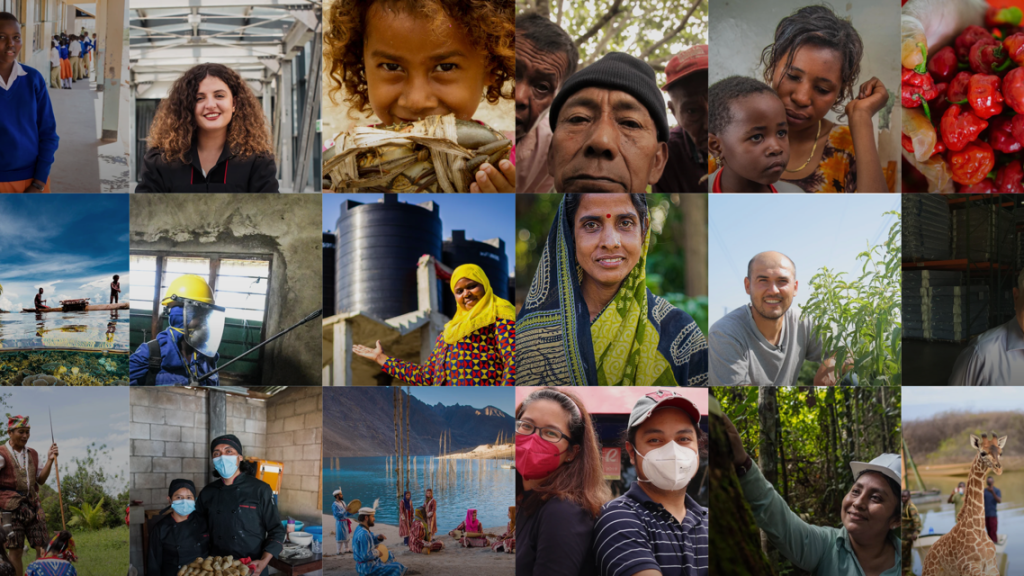 Portals & pages – The SDG Communicator